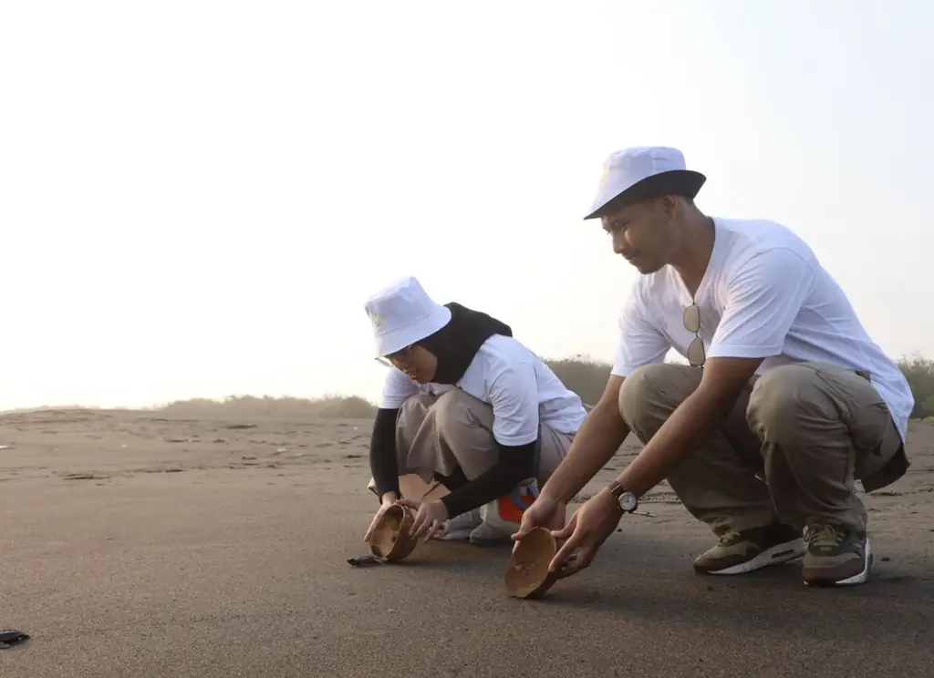 Telkom | Telkom Indonesia Gelar Penyu-lamat 2025, Selamatkan Pesisir ...